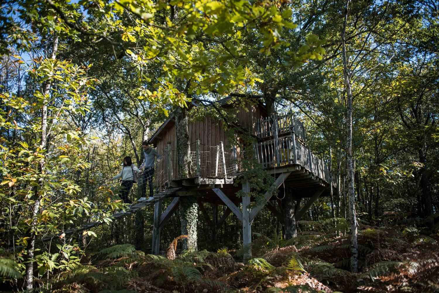 La Cabane Perchée - Locations Insolites à Angoisse - Guide du Périgord