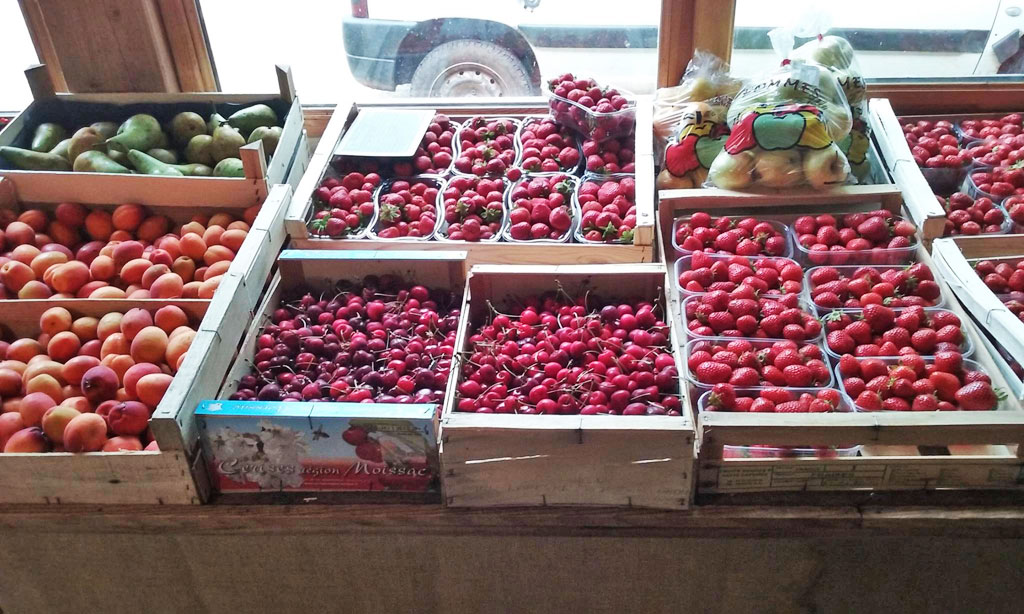 La Ferme de Vialard - Magasins et Boutiques de Producteurs à Carsac ...