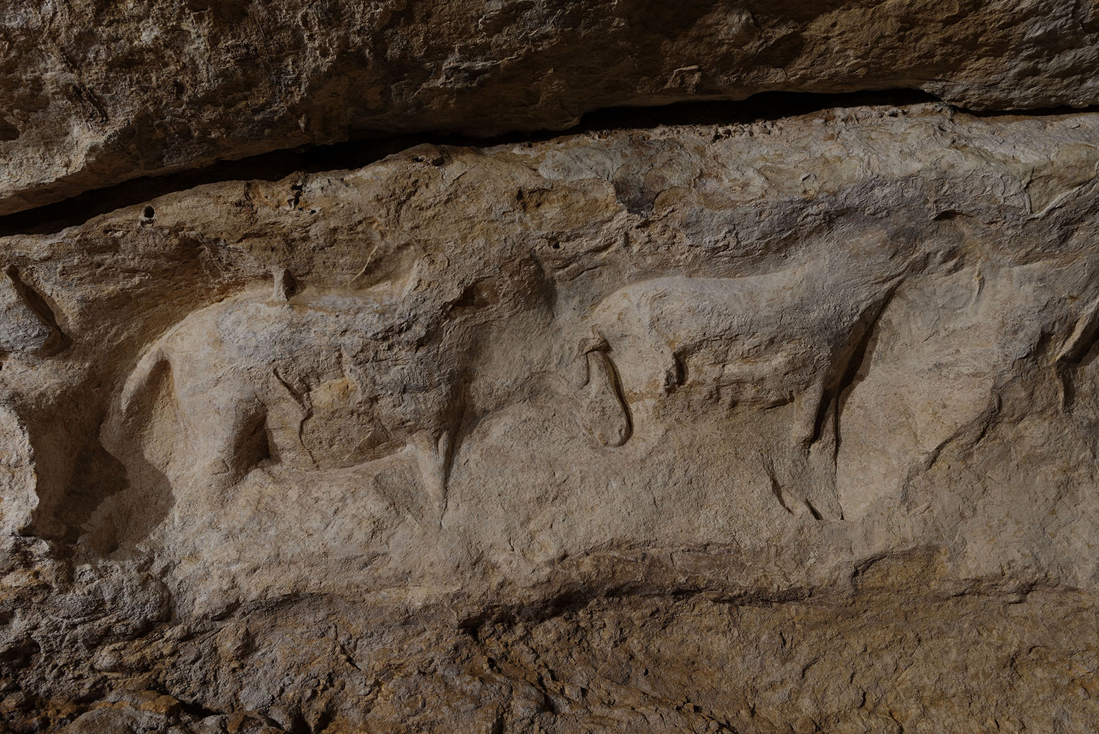 Abri du Cap-Blanc - Un site préhistorique impressionnant dans le ...